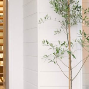 Dream Home 9 Facade - Oak and Orange